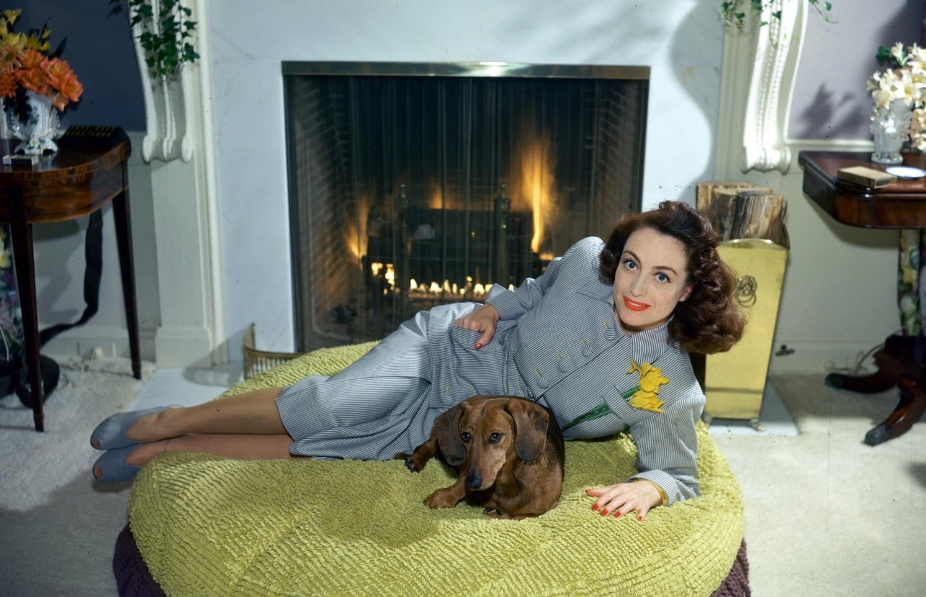 Iconic celebrities posing with their beloved pets at home