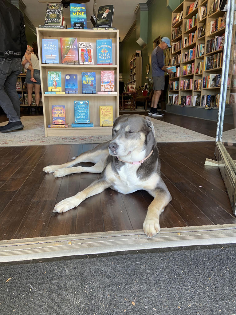 Silent Book Club chapters to check out in the Charlotte area