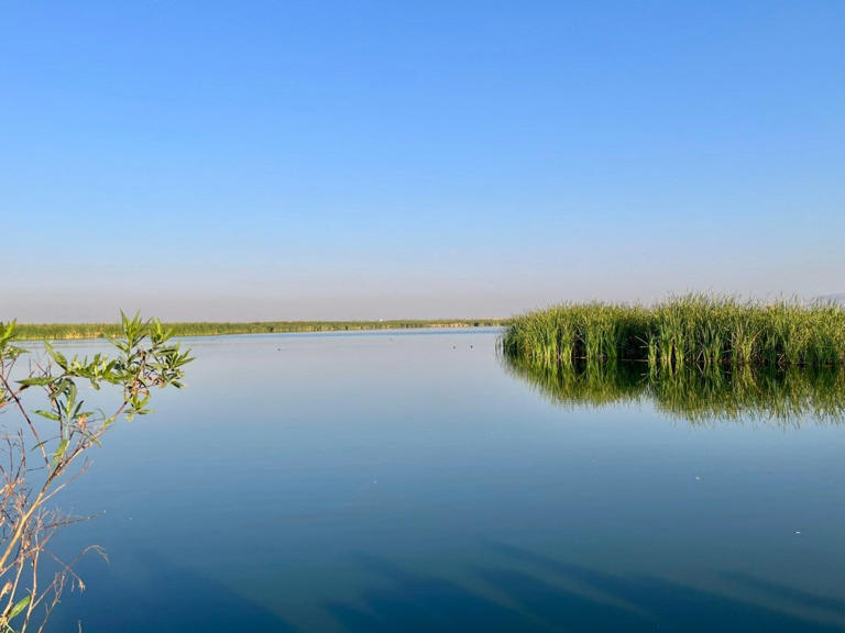 UNESCO declara a Lago de Texcoco como Sitio Demostrativo de Ecohidrología