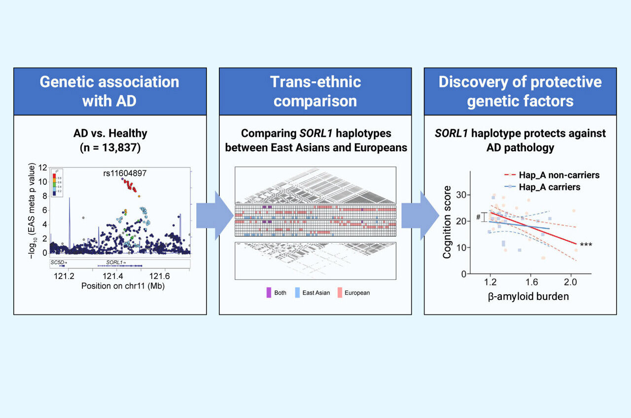 Comprehensive genetic analysis identifies protective factors against ... Comprehensive genetic analysis identifies protective factors against ...