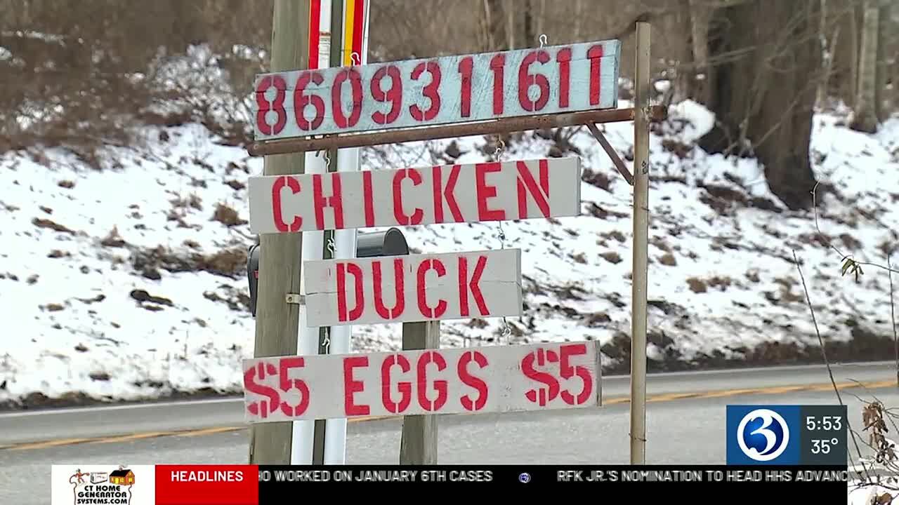 Road farms becoming popular alternative option as egg prices soar