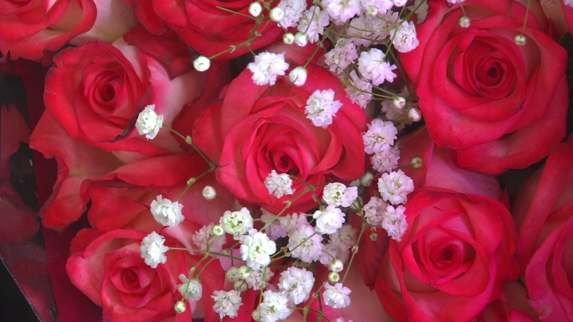 On Your Side: Save on Valentine’s Day flowers