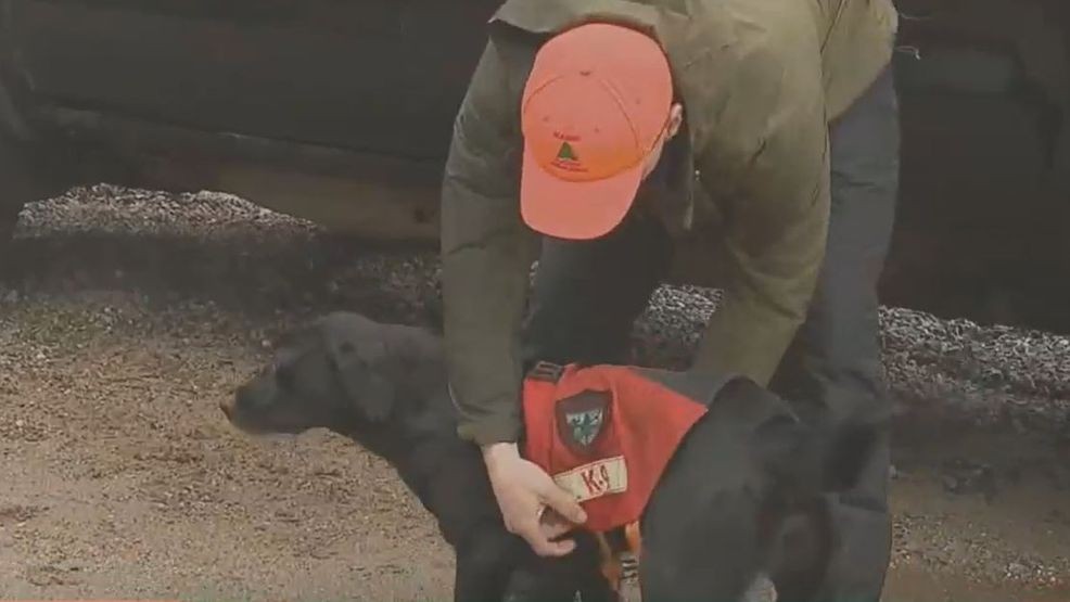 Advocates ask Maine lawmakers to create statewide missing persons database