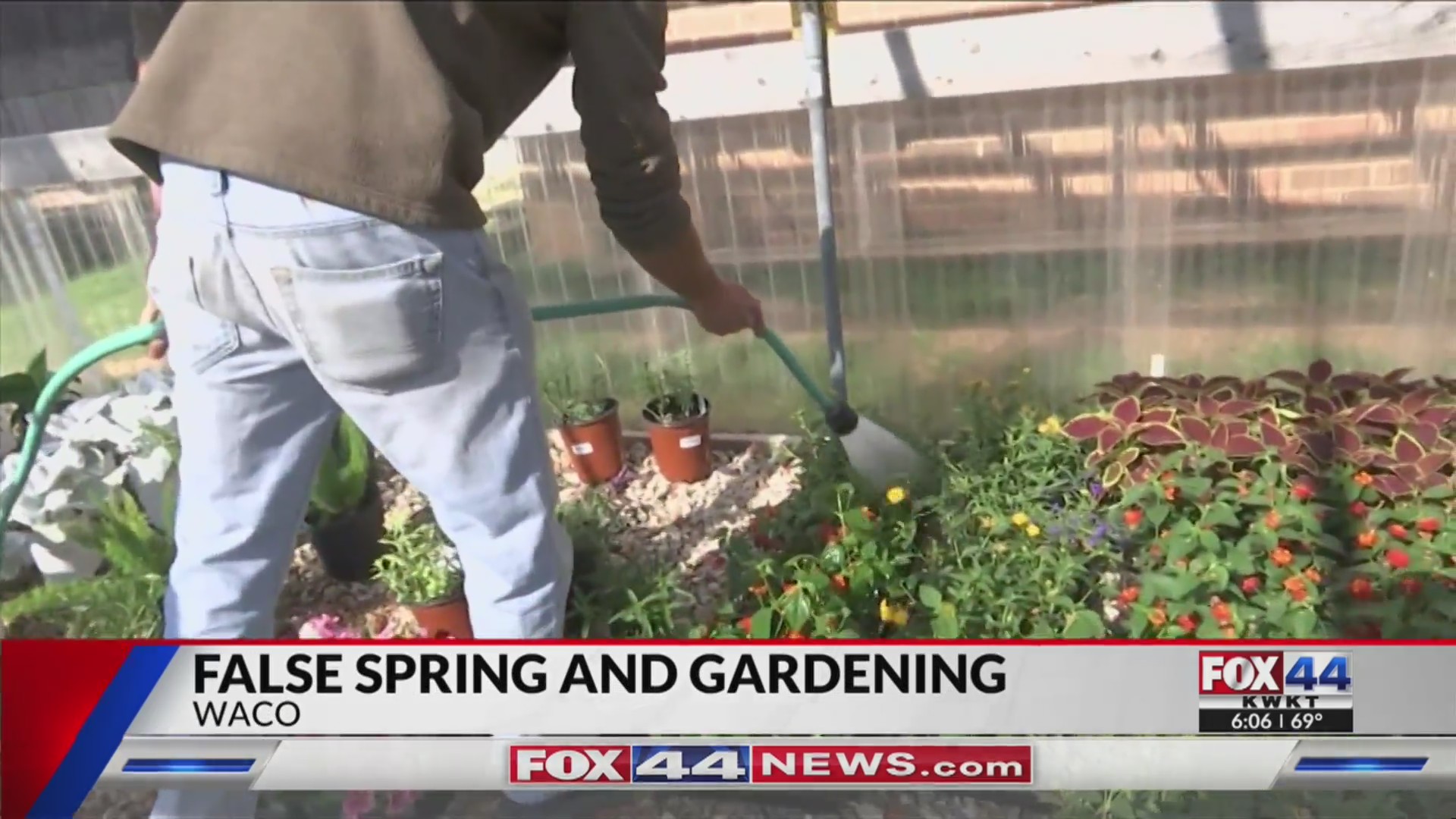 How to prepare your garden amid false spring weather