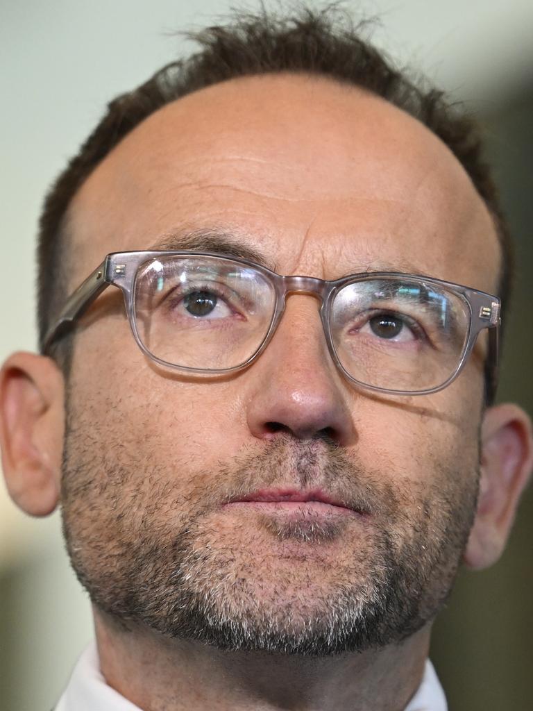 Albo dodges questions on Trump Gaza bid