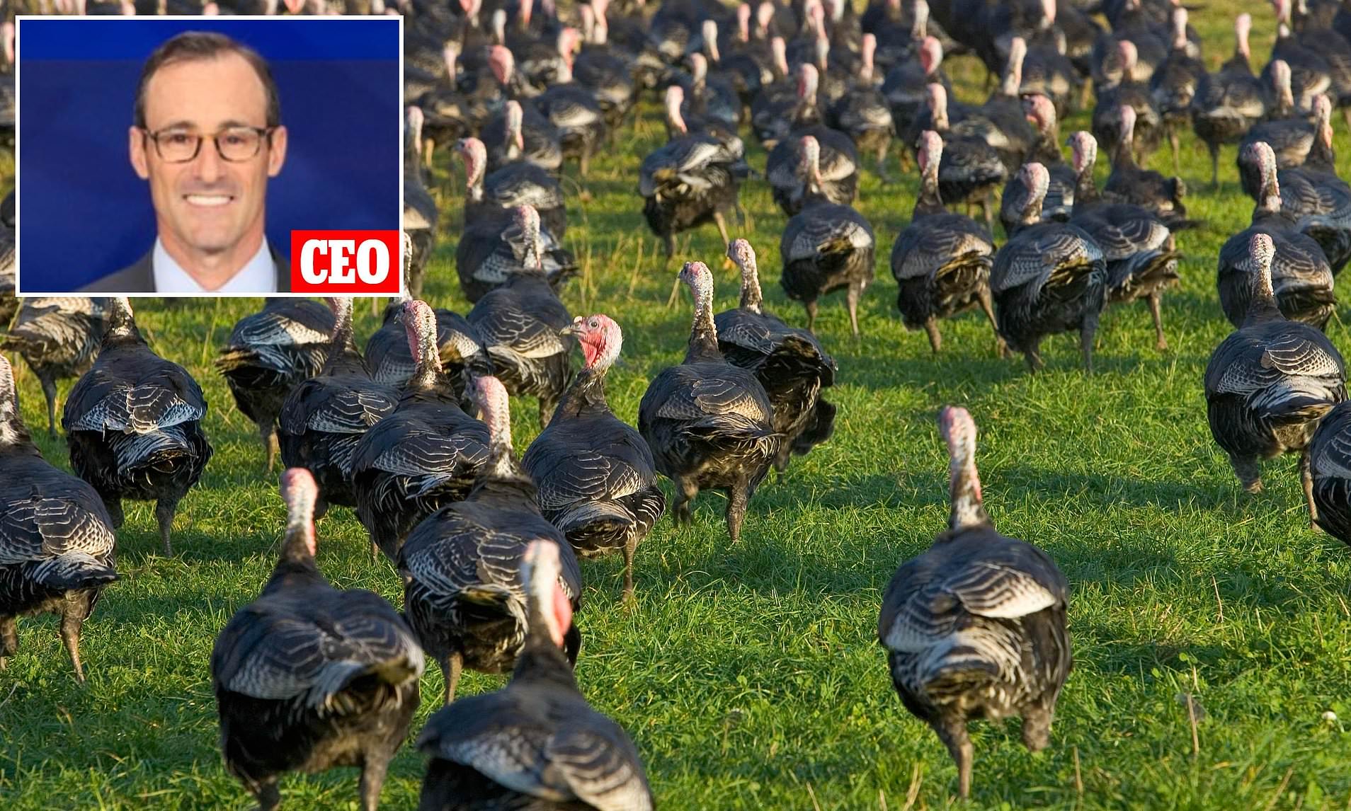 83-year-old family-run turkey farm abruptly shutters... just two years ...