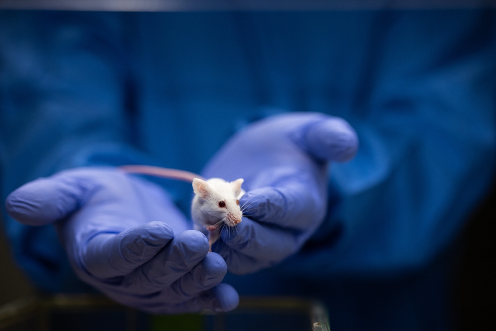 Life After Death? New Technology Redefines the Edge of Mortality