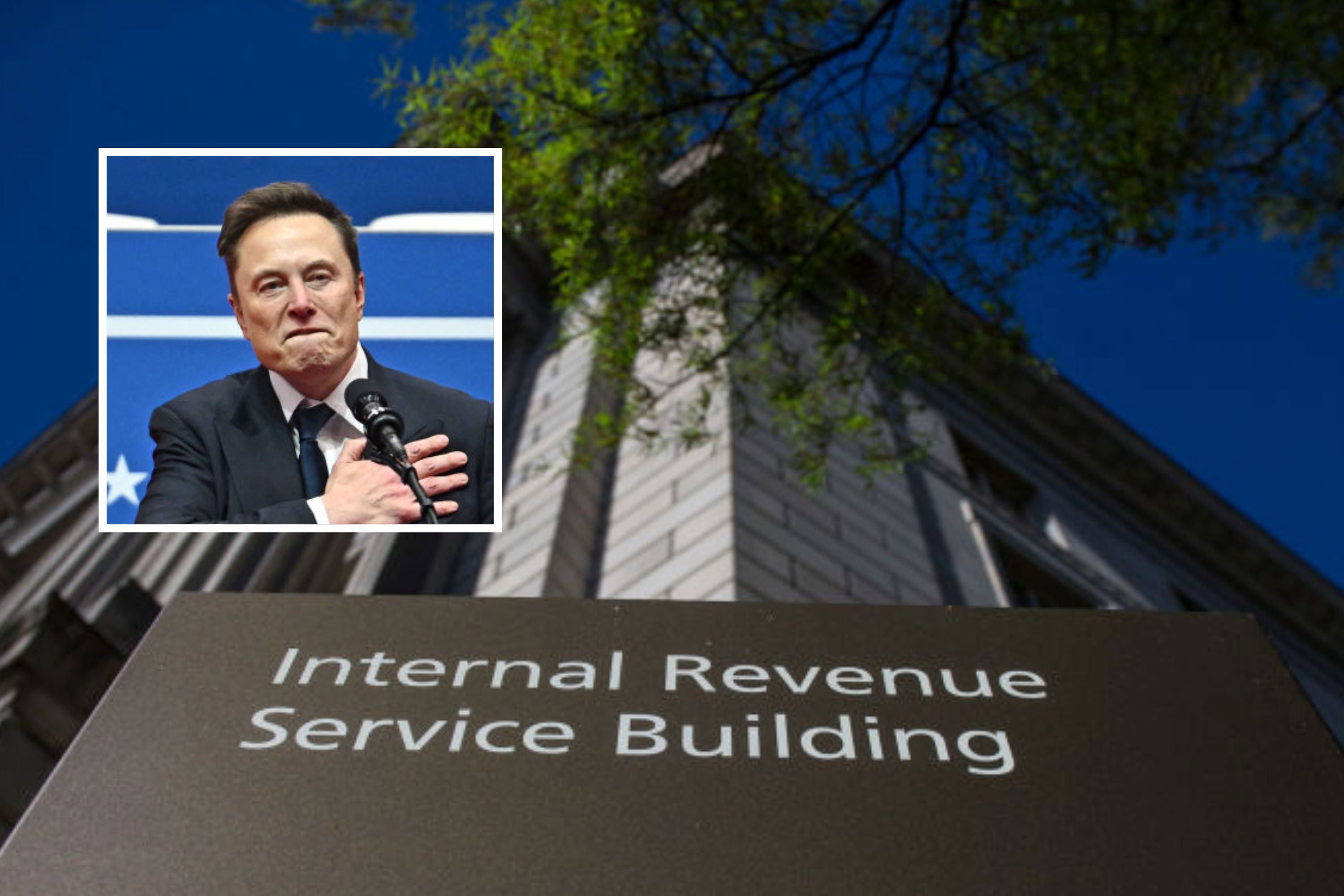 'F Yes' Trends After Elon Musk Asks if DOGE Should Audit IRS 'F Yes' Trends After Elon Musk Asks if DOGE Should Audit IRS