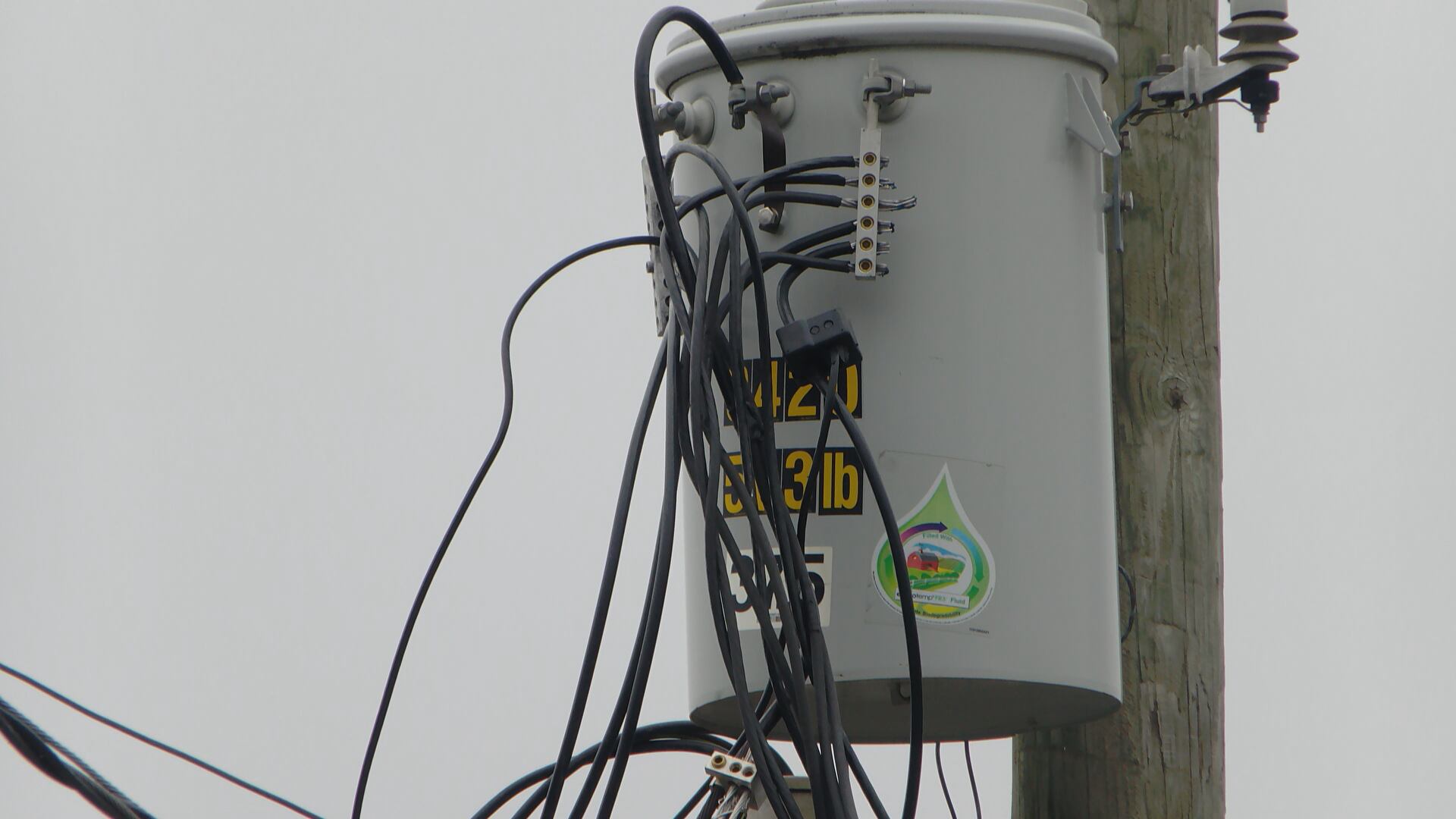 WSMV finds no lightning strikes after NES claims storm caused major ...