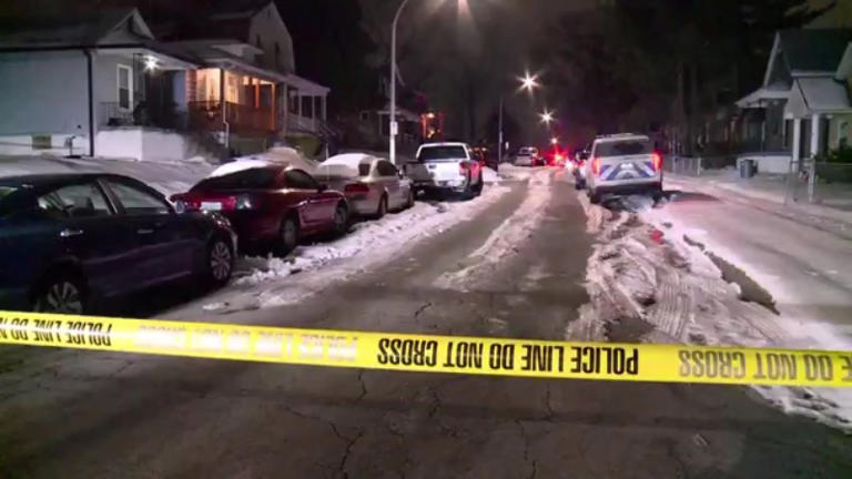 Dogs euthanized after attack that killed north St. Louis woman Dogs euthanized after attack that killed north St. Louis woman