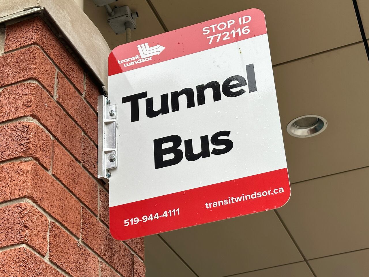 Windsor's tunnel bus is on the chopping block, again. Here's what ...