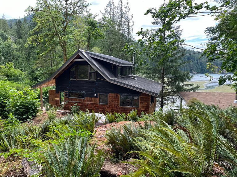 Homeowner shares images of beautiful off-grid cabin in British Columbia ...