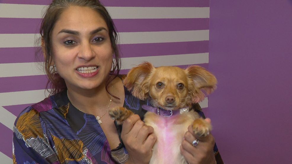 Local officials, nonprofits unite to tackle animal overpopulation ...