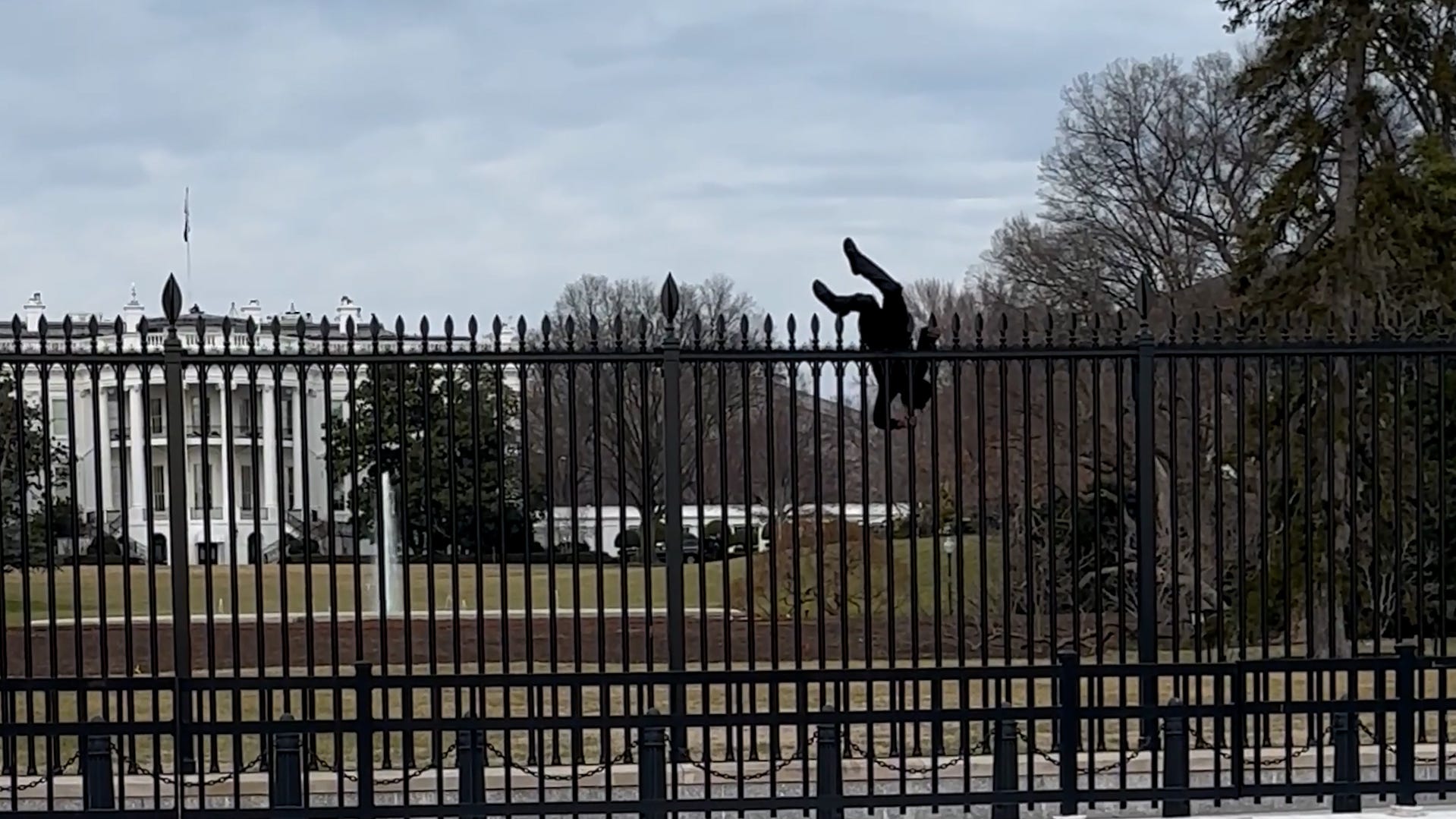 Man arrested by Secret Service after attempting to scale White House fence