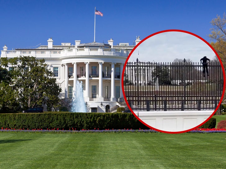 White House Fence Scaled by Intruder, Secret Service Quickly Intervenes