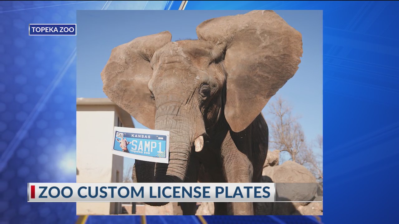Topeka Zoo license plates now available