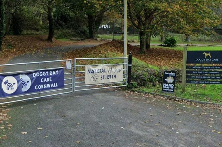 Answers as doggy daycare in Cornwall with no licence closes suddenly