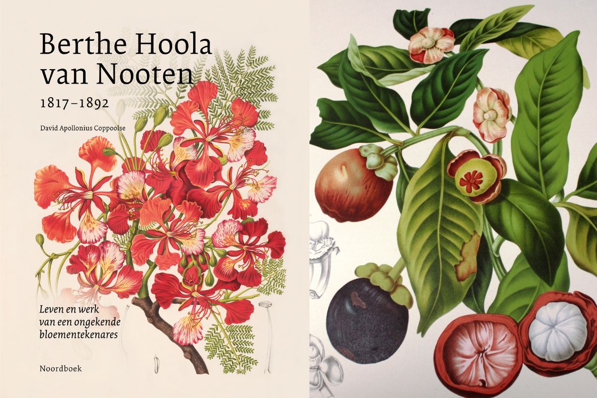 Berthe Hoola van Nooten: de 'onbekende' tekenares van Java's Flora