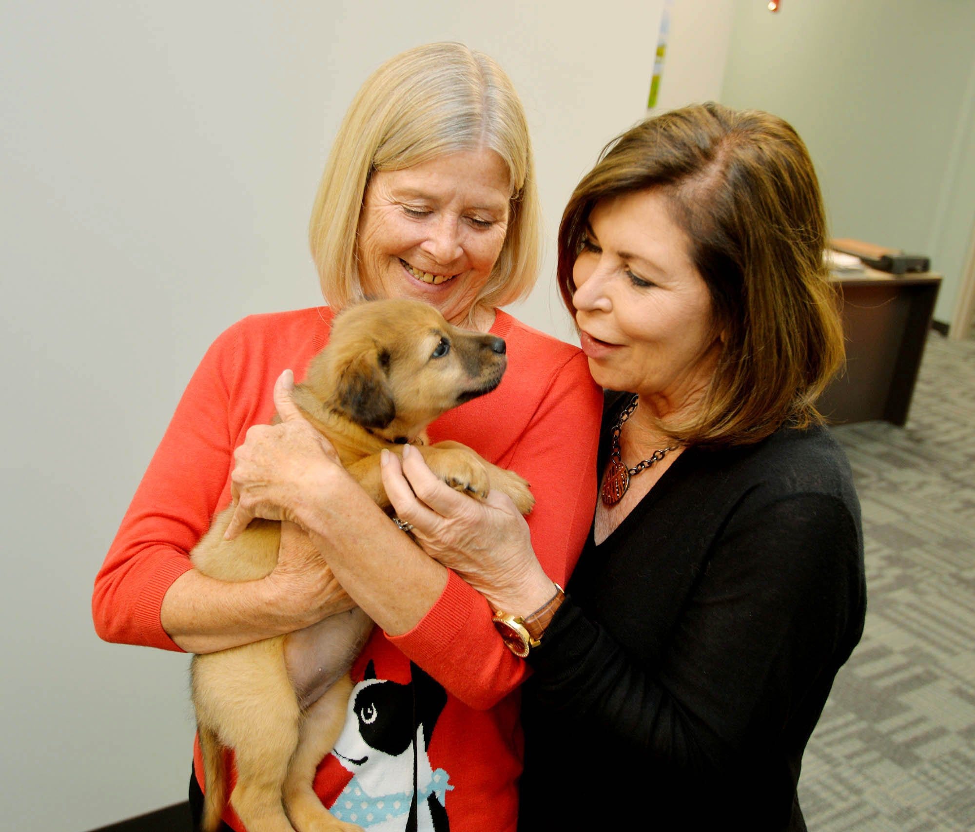 'Honor of a lifetime': Retiring Humane Society CEO reflects on 13 years ...