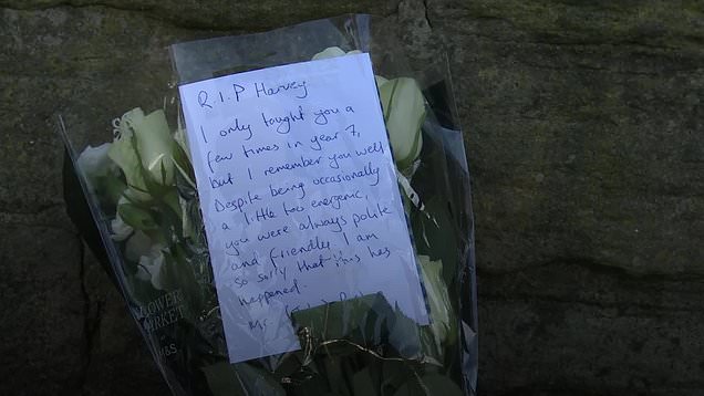 Teenager charged with murder of 15-year-old boy stabbed to death at school