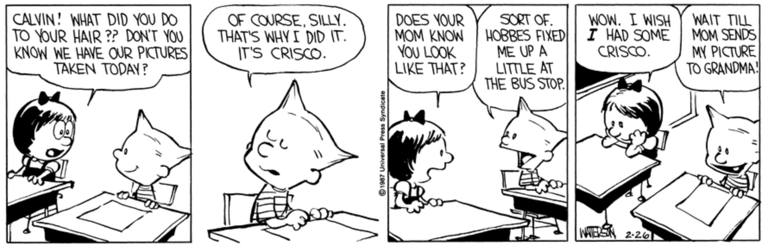 15 Best Calvin and Hobbes Comics About School, Ranked