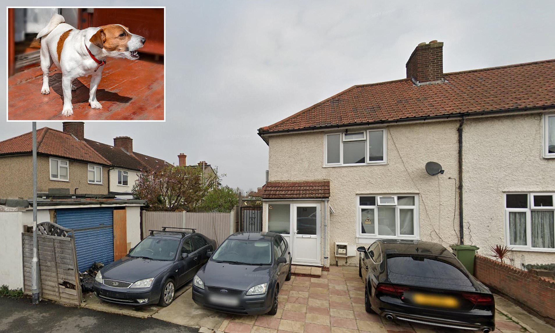 Man in Barking fined £2,000 for 'extremely noisy' barking dogs