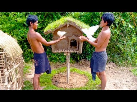 Primitive Building: Crafting a Beautiful House for a Sad Bird