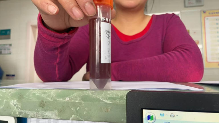 Akron Ice Force Security owner says people are confusing his company with the federal ...