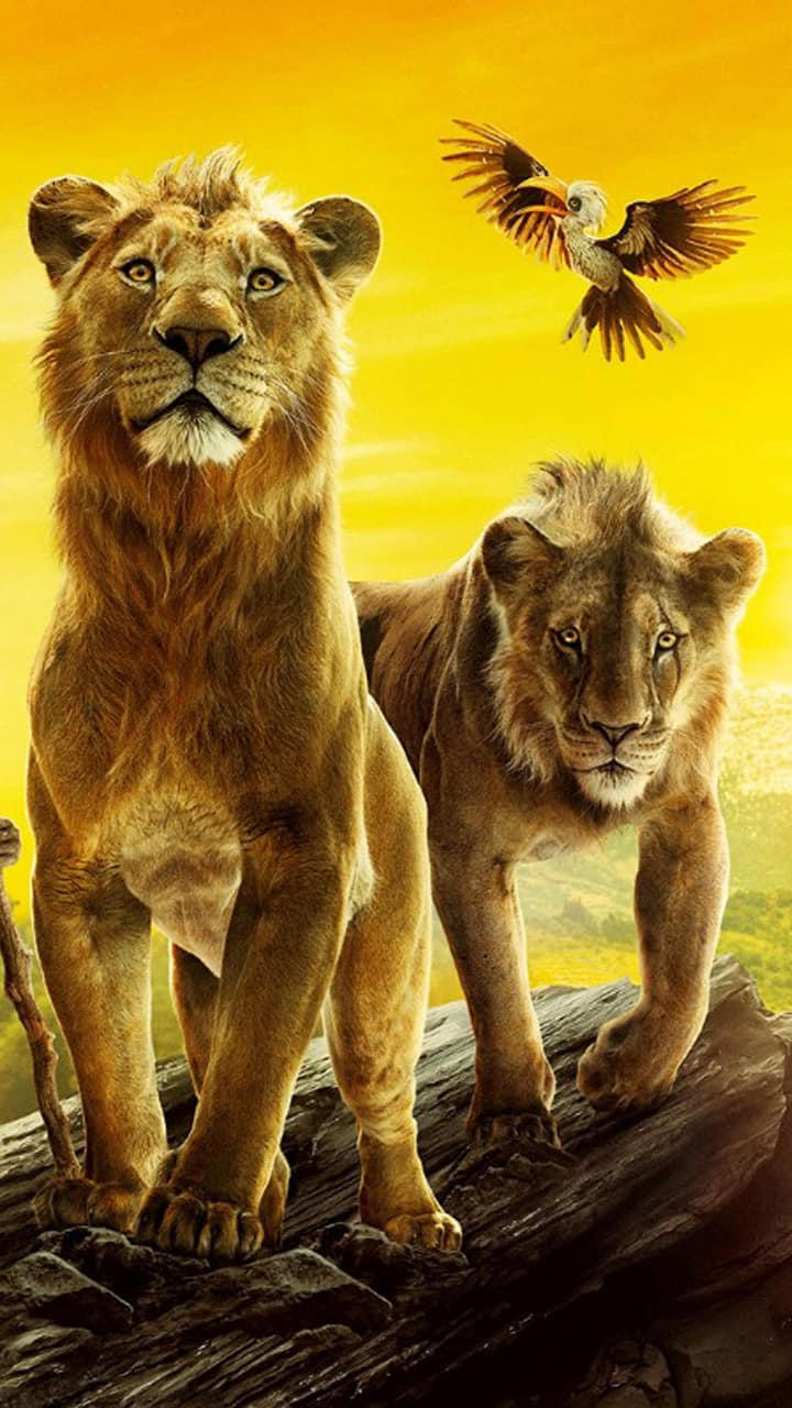 'Mufasa: The Lion King' OTT Release: When and where to watch Simba’s ...