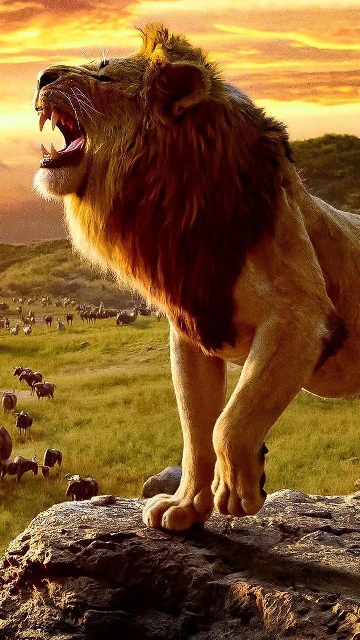 'Mufasa: The Lion King' OTT Release: When and where to watch Simba’s ...