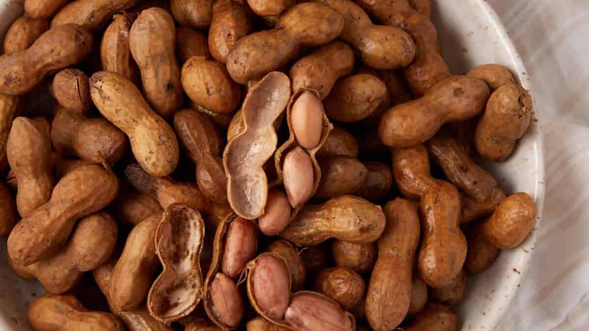 Taste the South! 12 Old-Fashioned Southern Snacks You Forgot You Loved