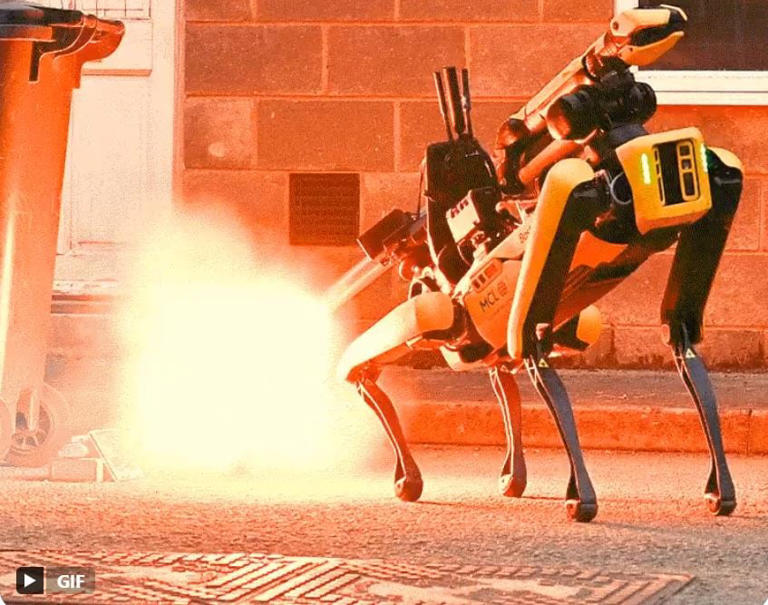 Meet the robot dogs that can climb stairs, open doors and defuse bombs ...