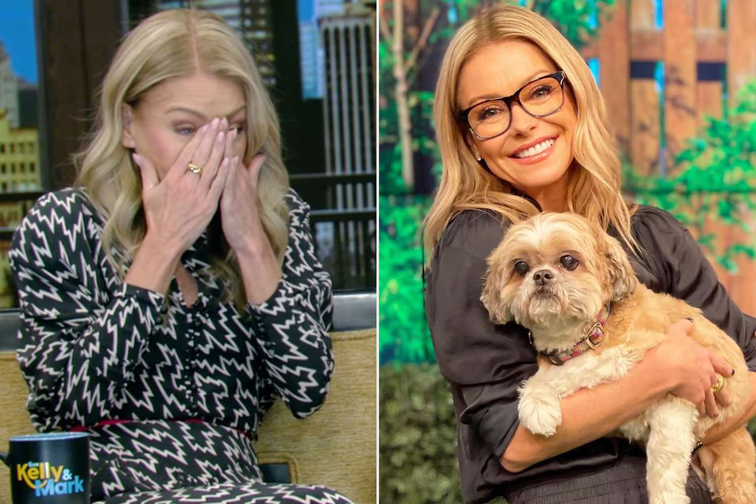 Kelly Ripa breaks down on “Live” after Mark Consuelos reveals death of ...