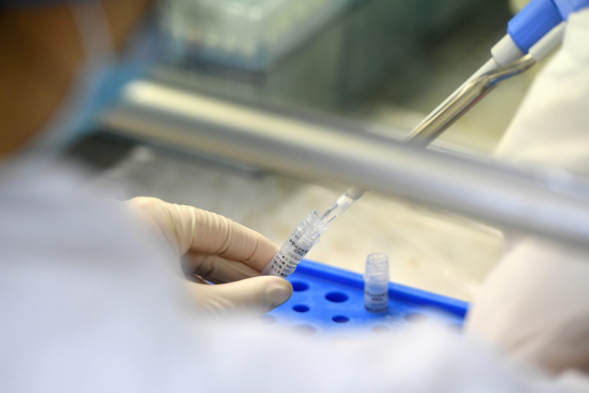 La CIA reveló el origen del coronavirus
