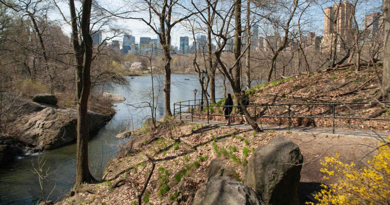 World’s Oldest Forest Discovered Near New York City May Reveal Secrets ...