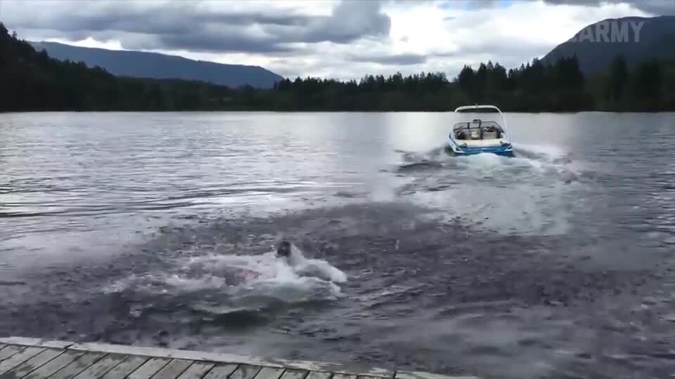 Fails of the Month | FailArmy