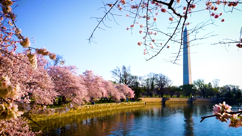 AccuWeather's 2025 spring forecast