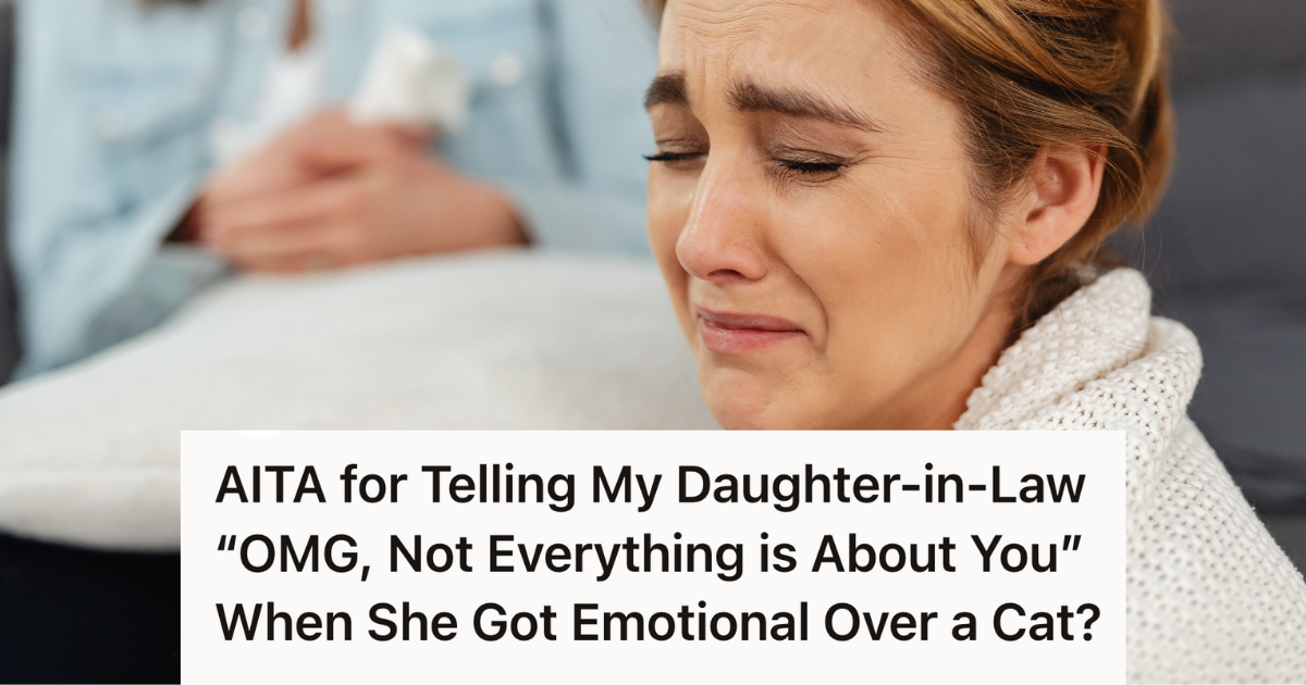 A Lighthearted Story About A Beloved Cat Turned Tense When Daughter-in ...