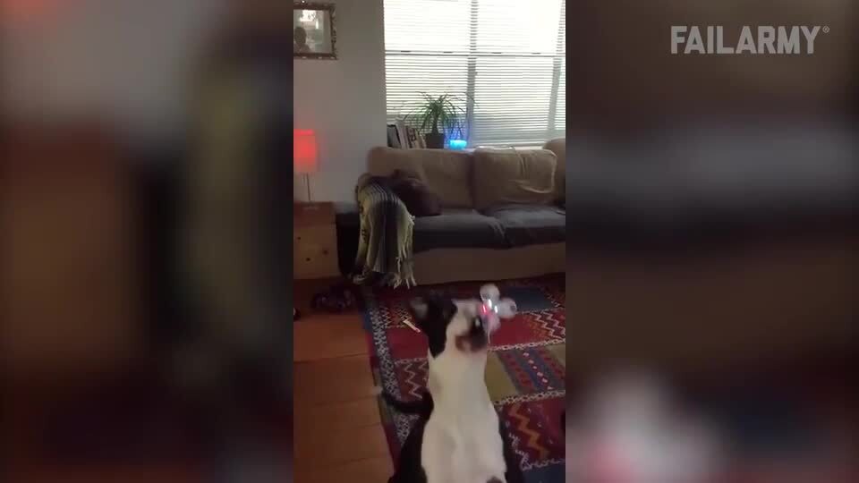 Fails of the Month vol. 2 | FailArmy