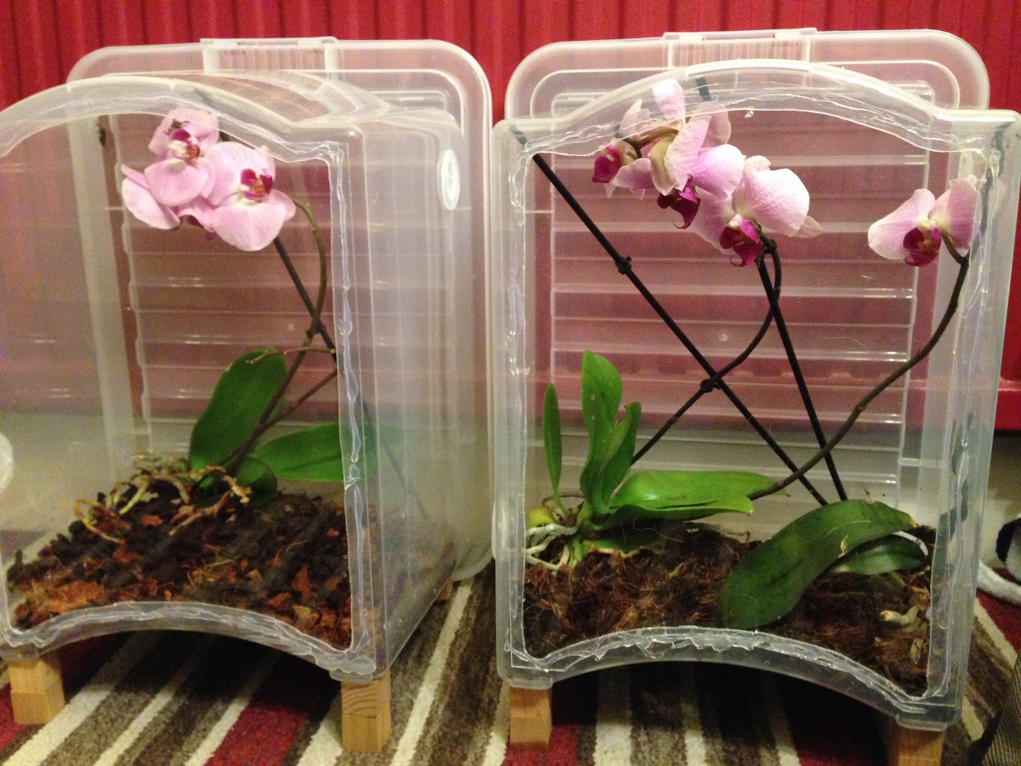 20 Creative Ways to Repurpose Old Storage Containers: From Clutter to ...