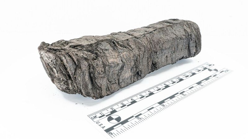 AI gives first tantalising look inside a 2,000- year-old Roman scroll