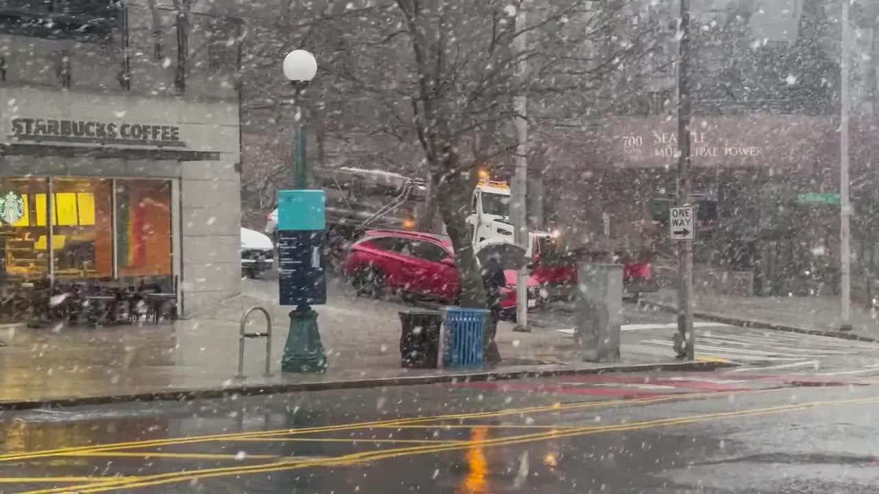 Seattle sees its first snowfall of winter