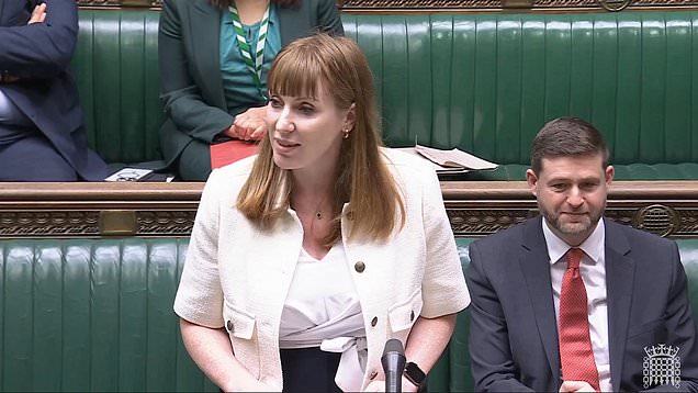 Angela Rayner cancels council elections in areas being reorganised