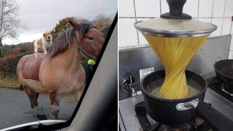 25 Interesting Photos That Just Exist Out There