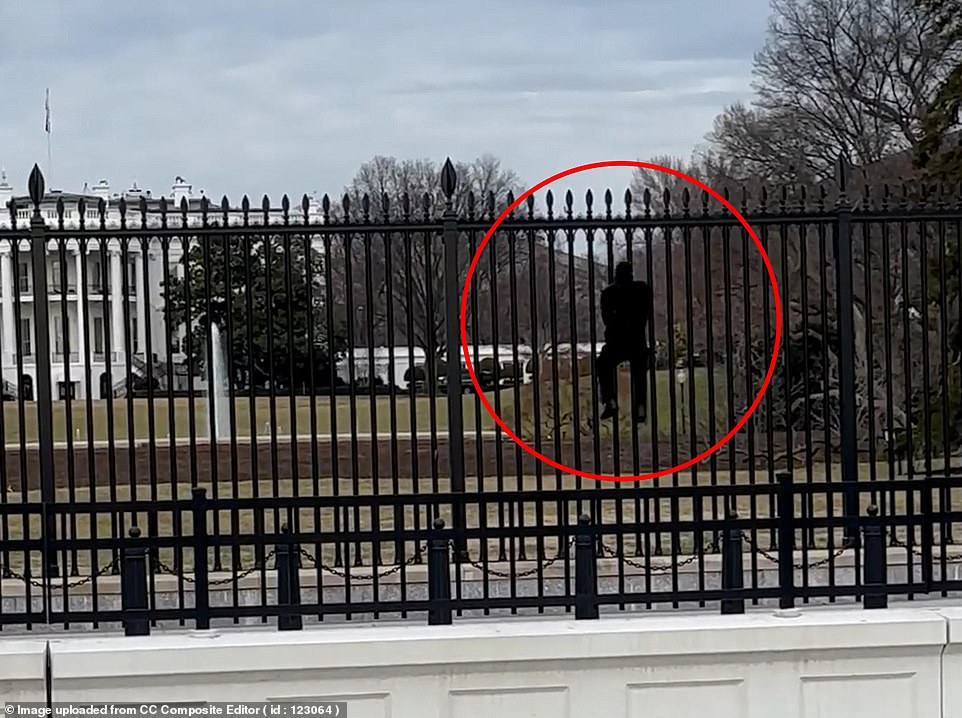 Secret Service tackle man scaling over the White House fence