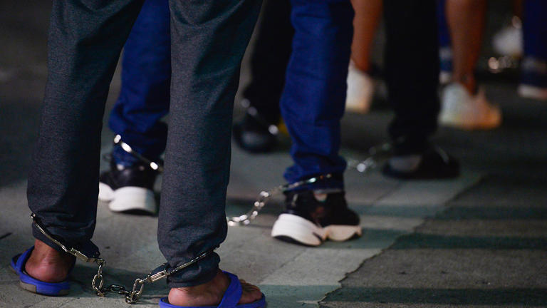 Denver businesses fined over $8M total for knowingly hiring ...