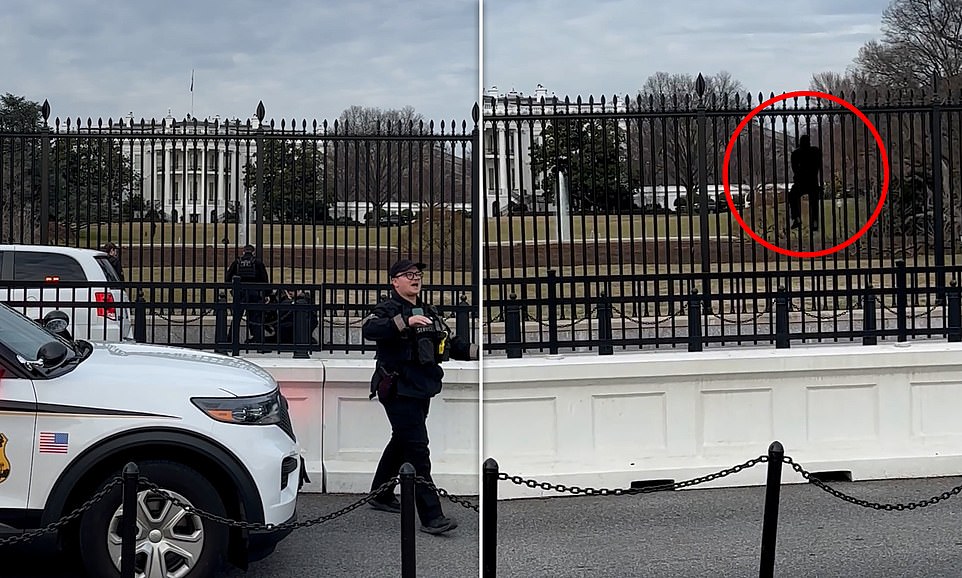 Secret Service tackle man scaling over the White House fence