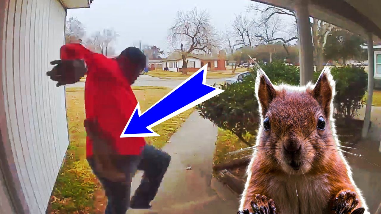 Texas man hilariously ambushed by sneaky squirrel