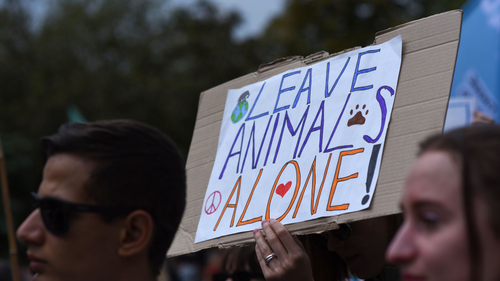 16 Animals That Are Now Banned as Pets in the United States