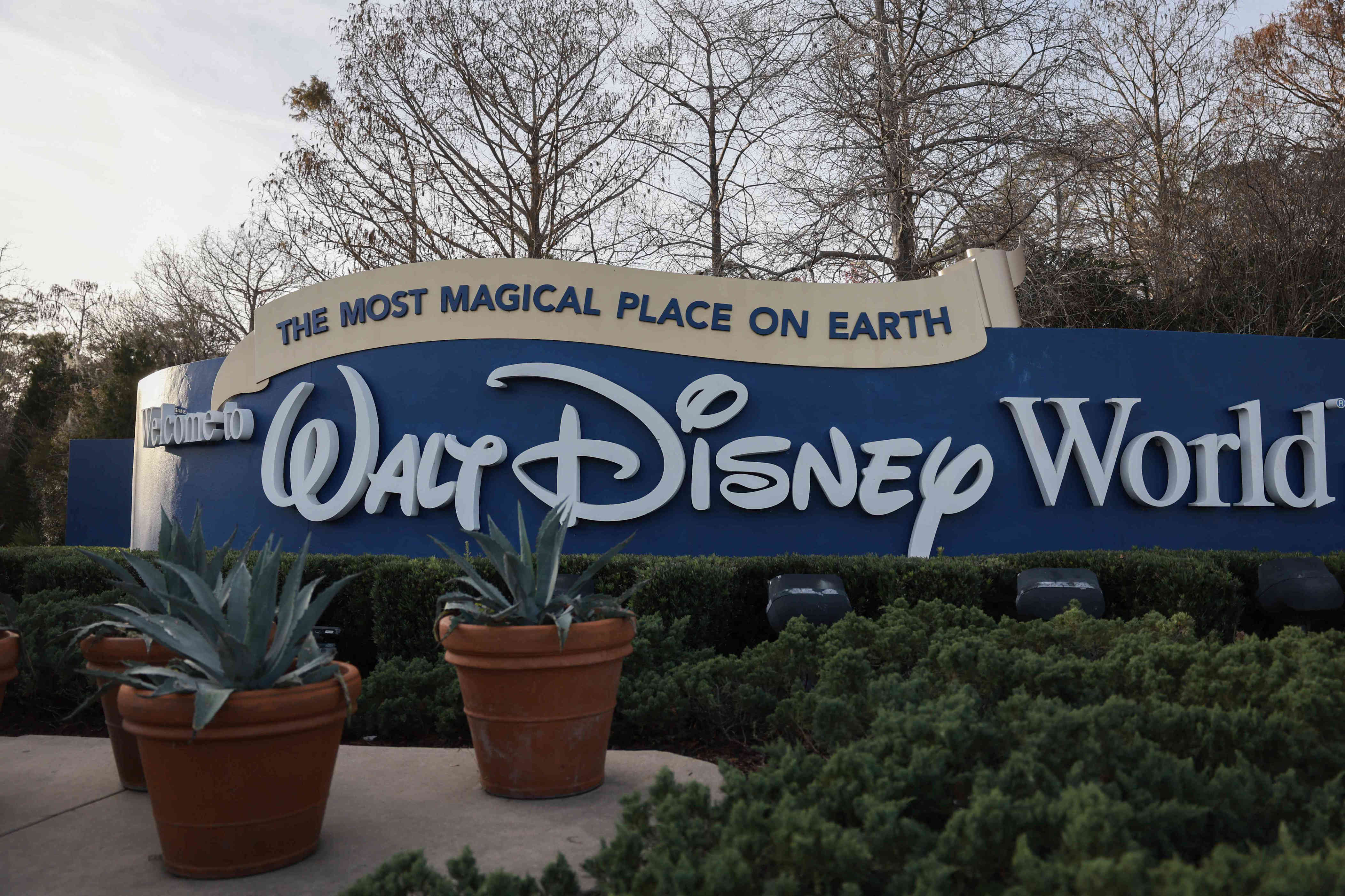 Disney's Q1 Earnings, Revenue Top Estimates as Streaming Profits Grow